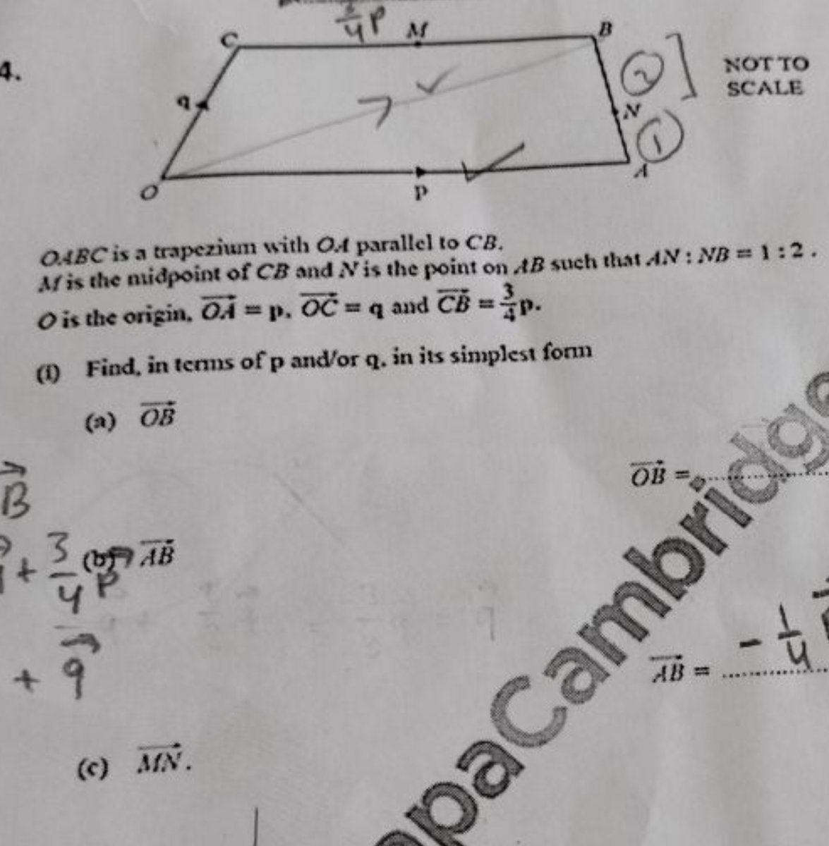 OABC is a trapezium with OA parallel to CB. M is the midpoint of CB and N..