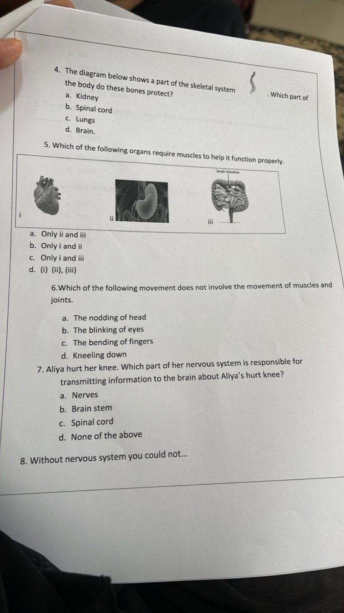 The diagram below shows a part of the skeletal system. Which part of the