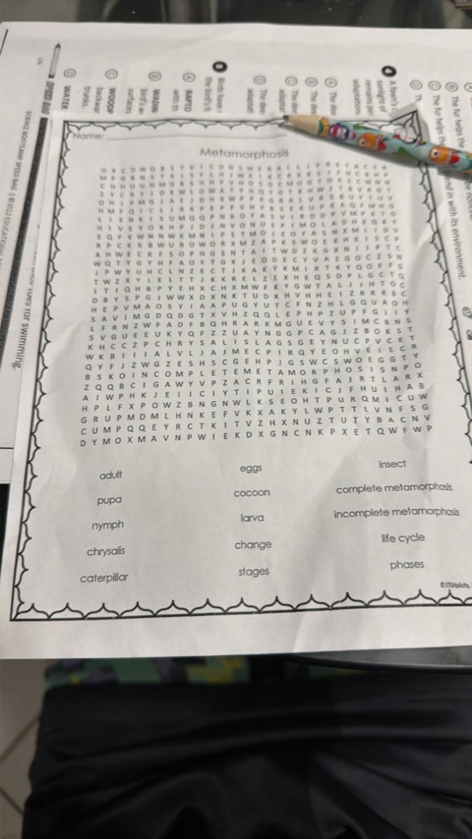 The image shows a word search puzzle titled "Metamorphosis". Below the pu..