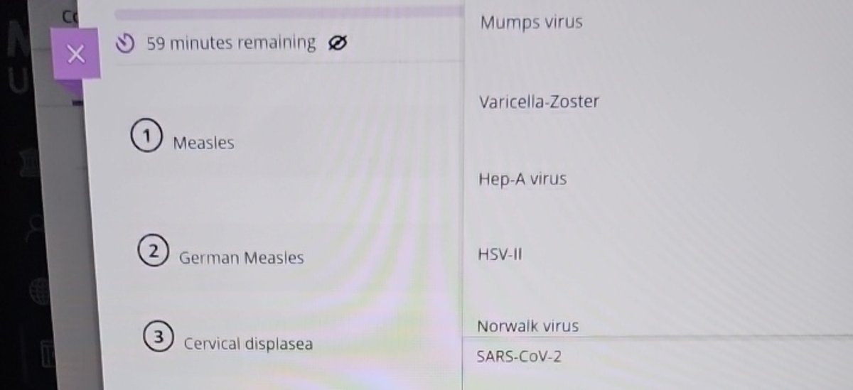 The image shows a list of diseases and a list of viruses. The task is to