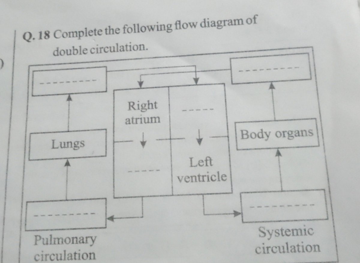 Q. 18 Complete the following flow diagram of double circulation. [Image
