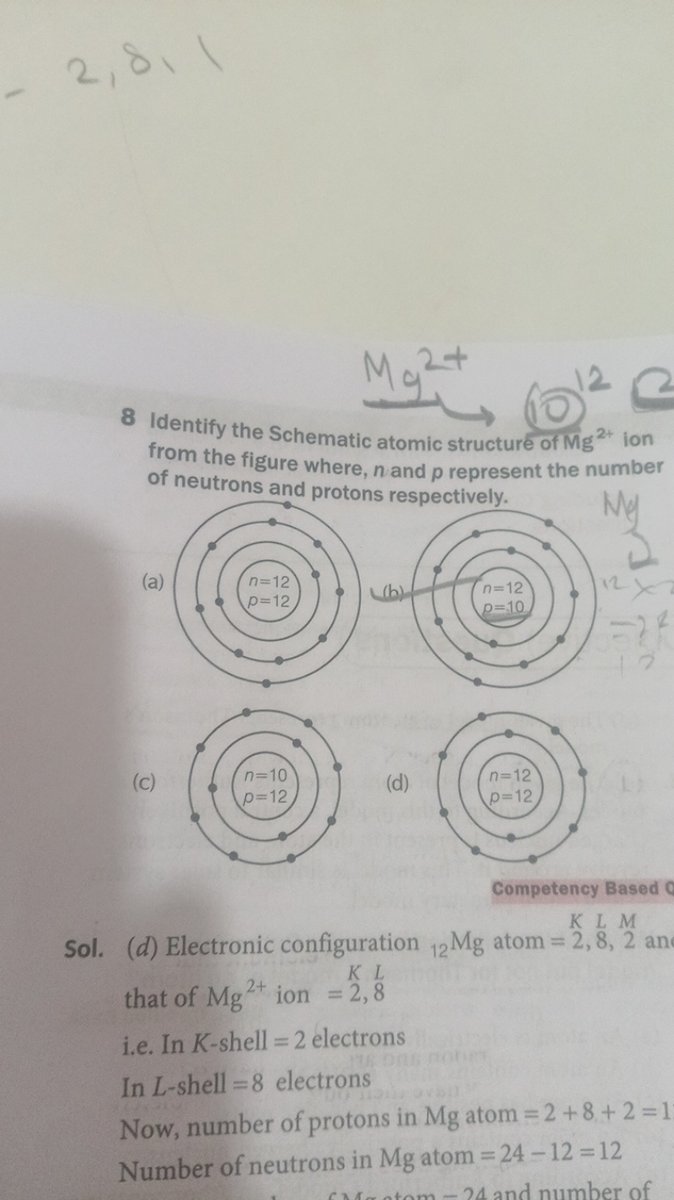 Identify the Schematic atomic structure of Mg²⁺ ion from the figure where..