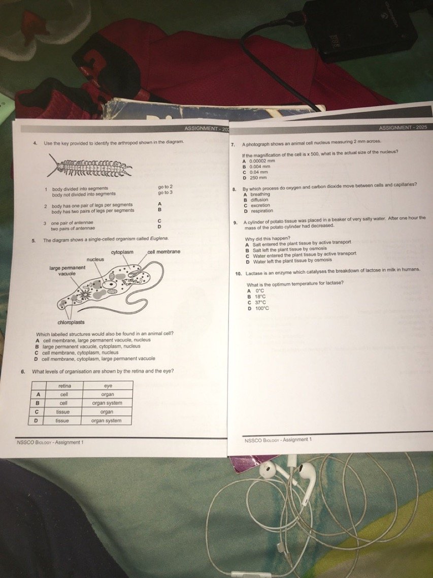 ASSIGNMENT - 204 ASSIGNMENT - 2025 Use the key provided to identify the a..