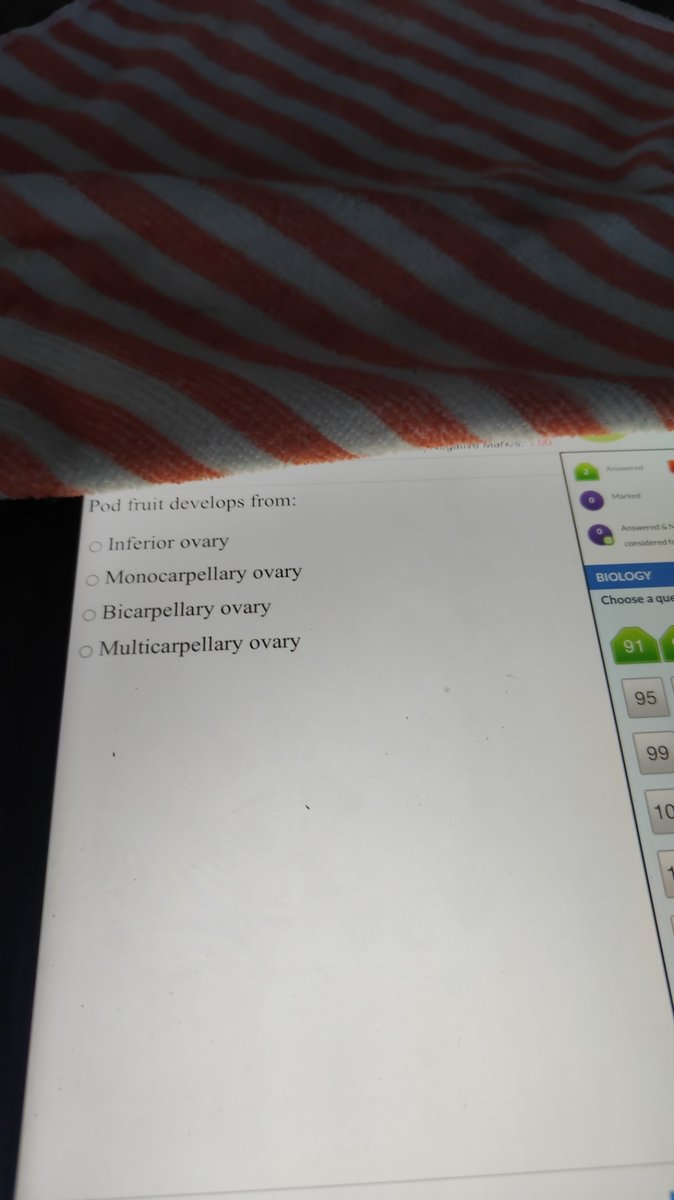 Pod fruit develops from: Inferior ovary Monocarpellary ovary Bicarpellar..