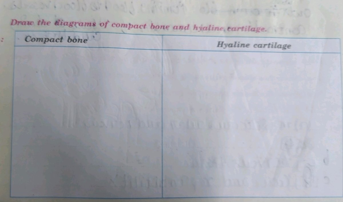 Draw the diagrams of compact bone and hyaline cartilage. | Filo