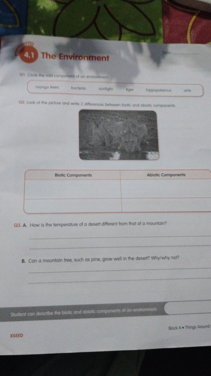 4.1 The Environment Q1. Circle the odd component of an environment: mang..