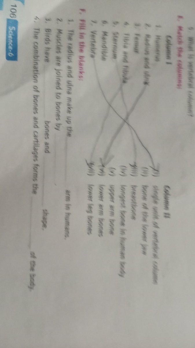 E. Match the columns: Column I Humerus Radius and ulna Femur Tibia and f..