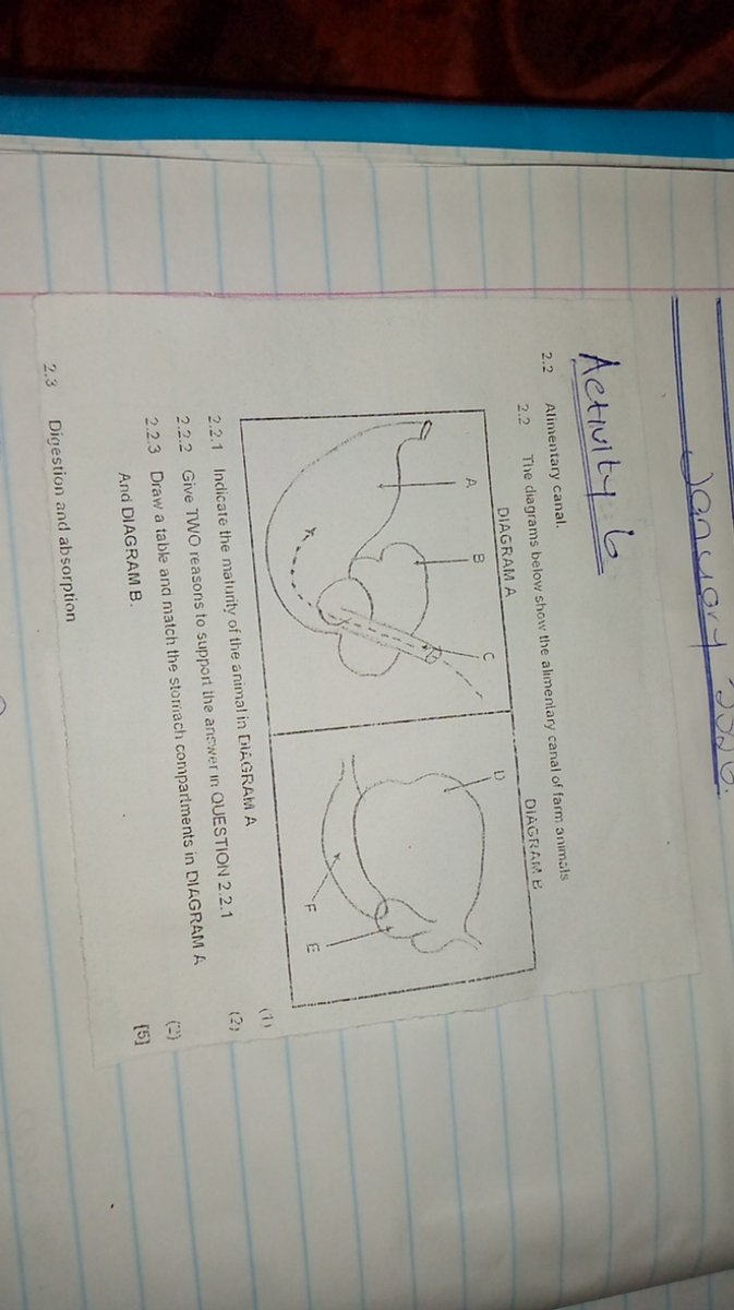 Activity 6 2.2 Alimentary canal. The diagrams below show the alimentary..
