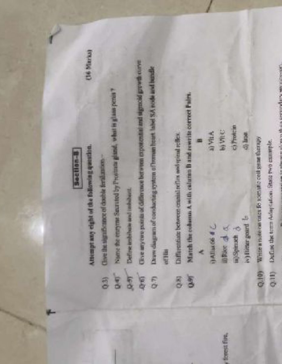 Section-B Attempt any eight of the following questions. (16 Marks) Q.3)