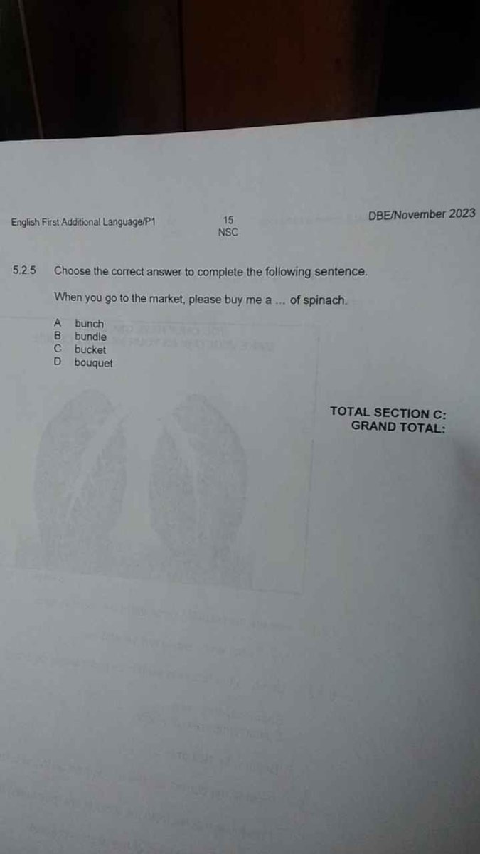 English First Additional Language/P1 15 DBE/November 2023 NSC 5.2.5 Choos..