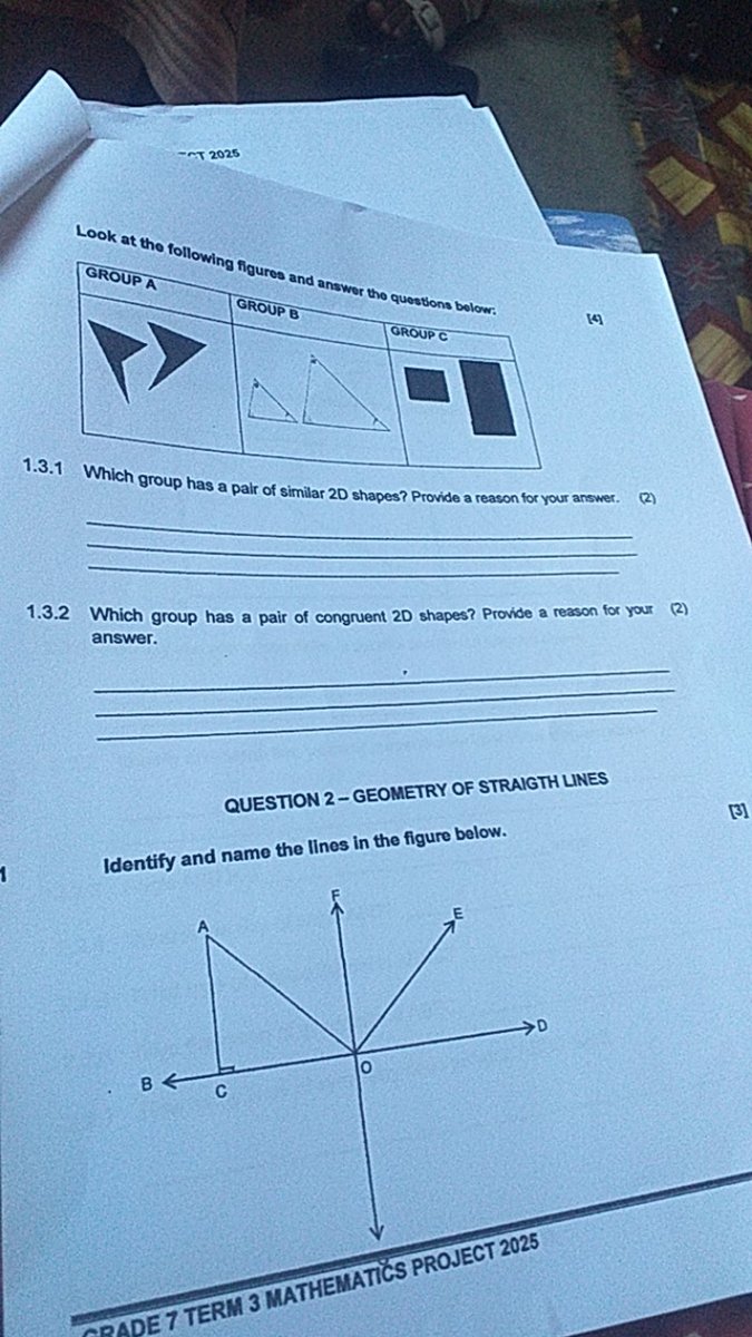 1.3.1 Which group has a pair of similar 2D shapes? Provide a reason for y..