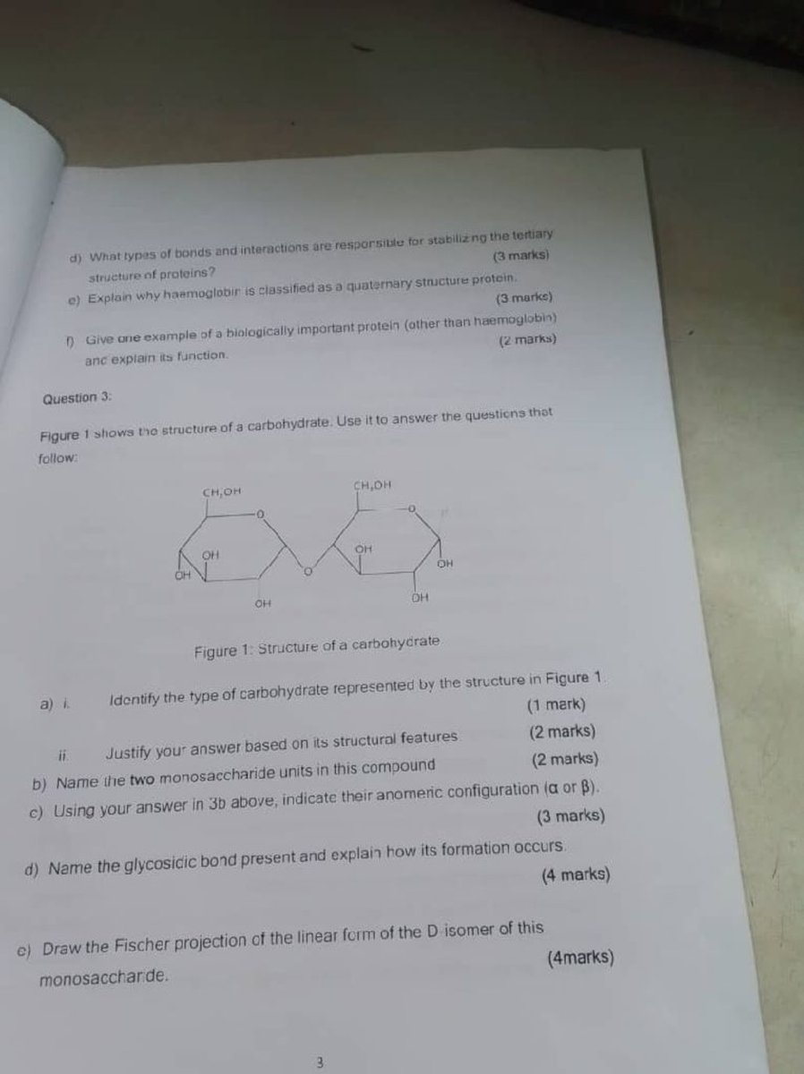 d) What types of bonds and interactions are responsible for stabilizing t..