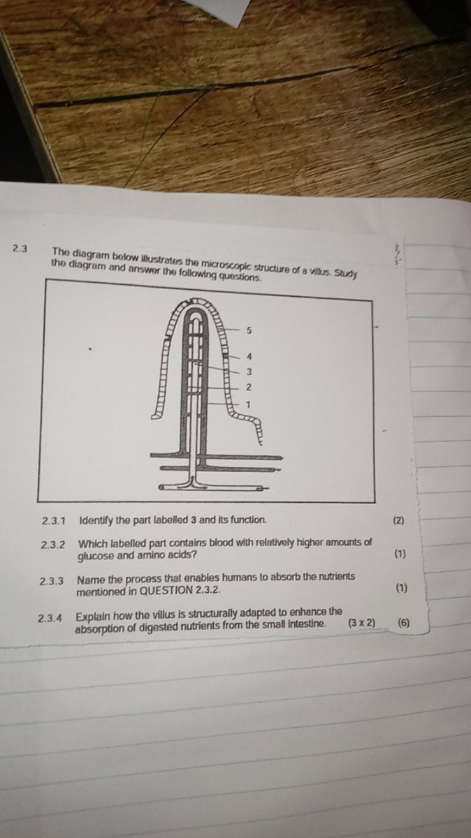 2.3 The diagram below illustrates the microscopic structure of a vilus. S..