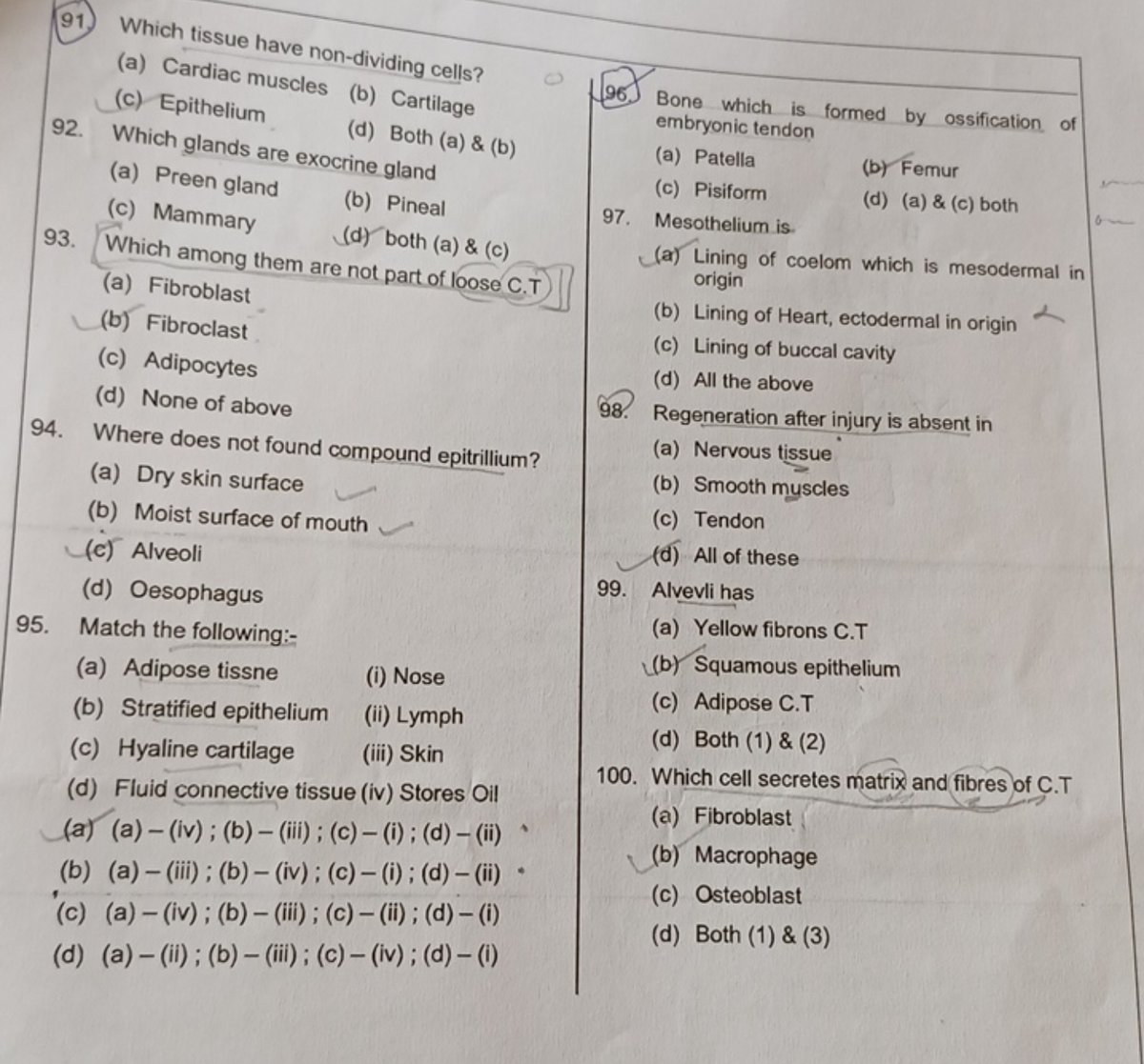 Which tissue have non-dividing cells? (a) Cardiac muscles (b) Cartilage