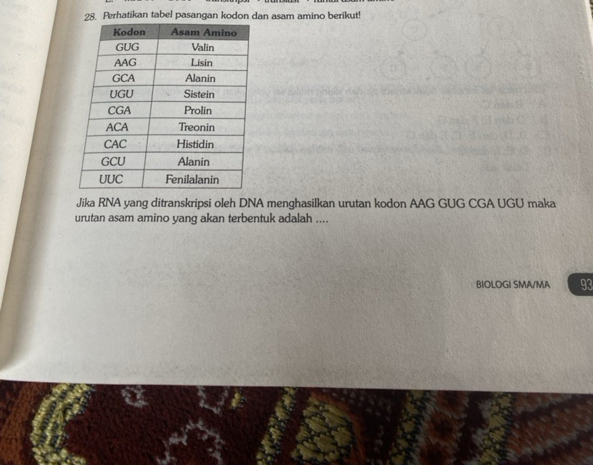 Perhatikan tabel pasangan kodon dan asam amino berikut! | Kodon | Asam A..