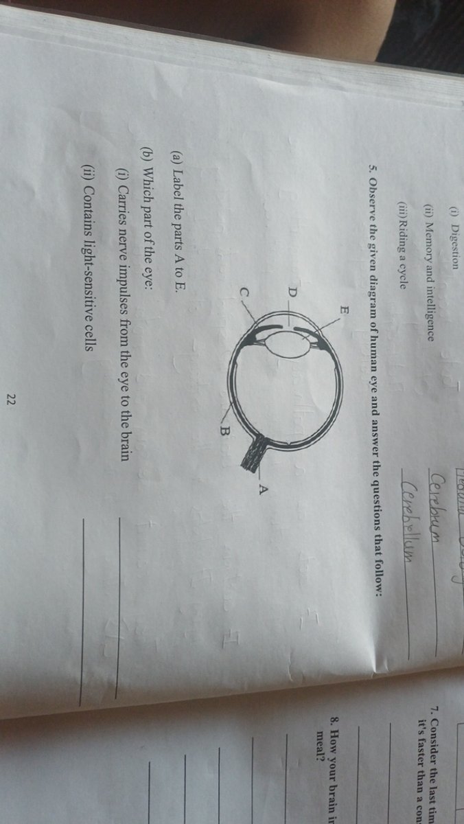 Observe the given diagram of human eye and answer the questions that foll..