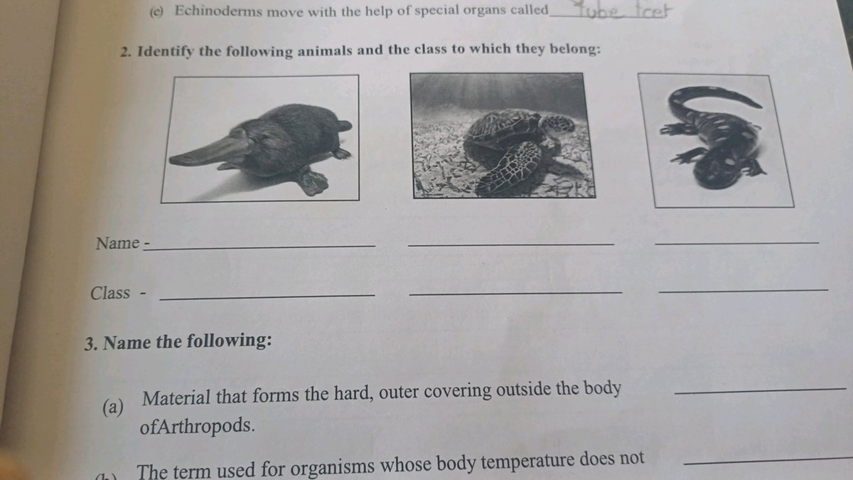 Identify the following animals and the class to which they belong: [Imag..