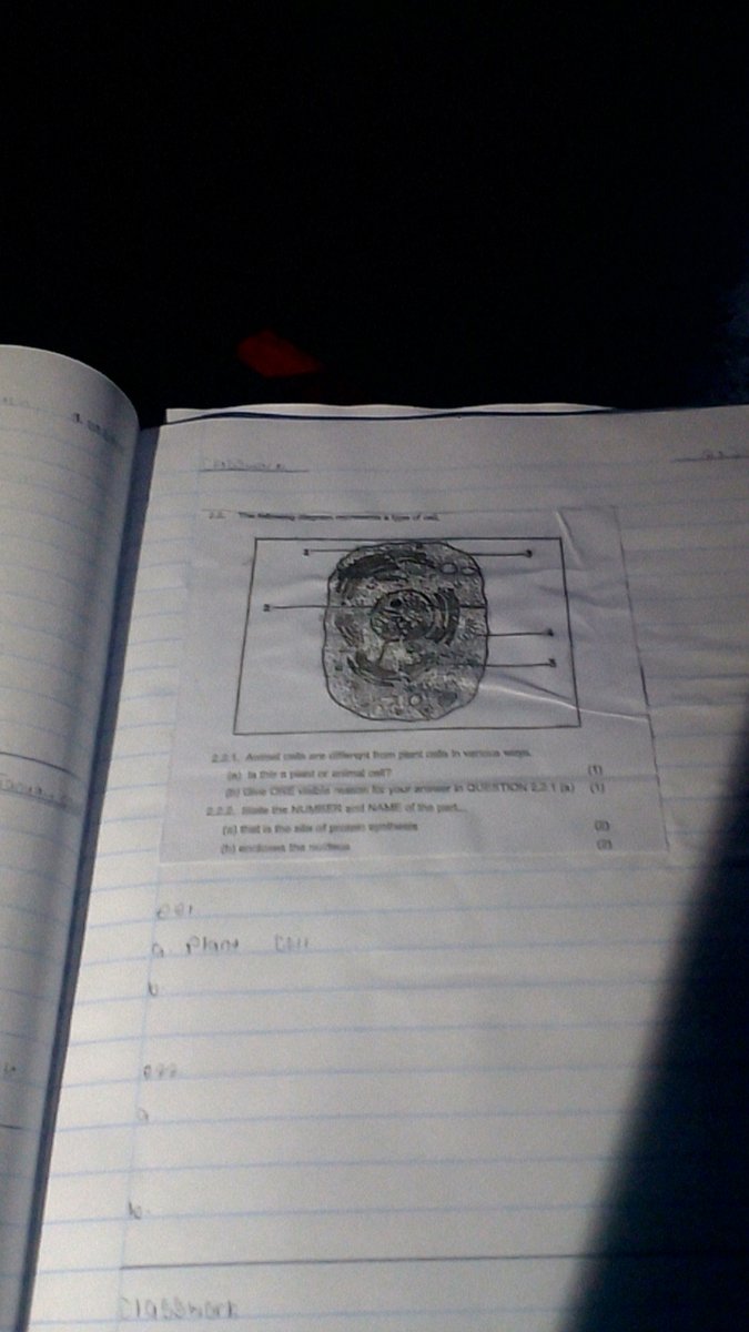 2.2. The following diagram represents a type of cell. 2.2.1. Animal cell..