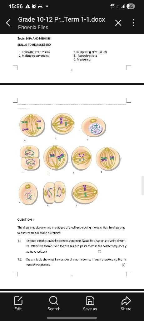 Topic: DNA AND MEIOSIS SKILLS TO BE ASSESSED Following instructions Maki..