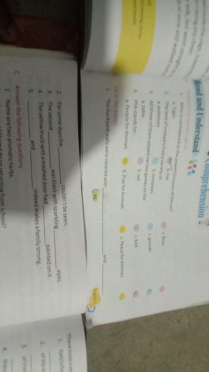 Read and Understand A. Tick the correct option Who is considered as the