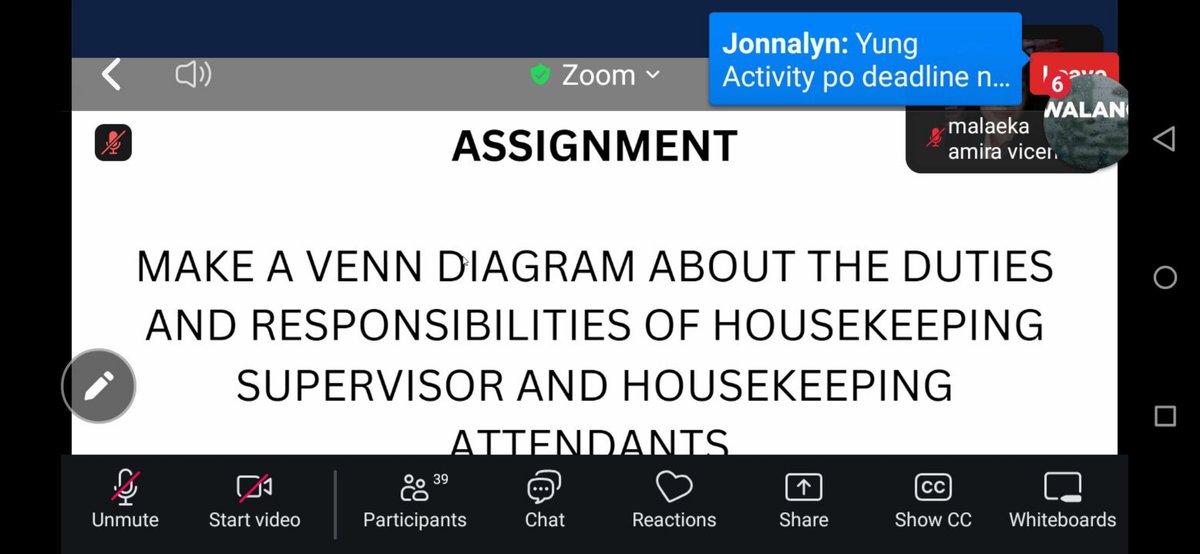 Assignment: Make a Venn Diagram about the duties and responsibilities of