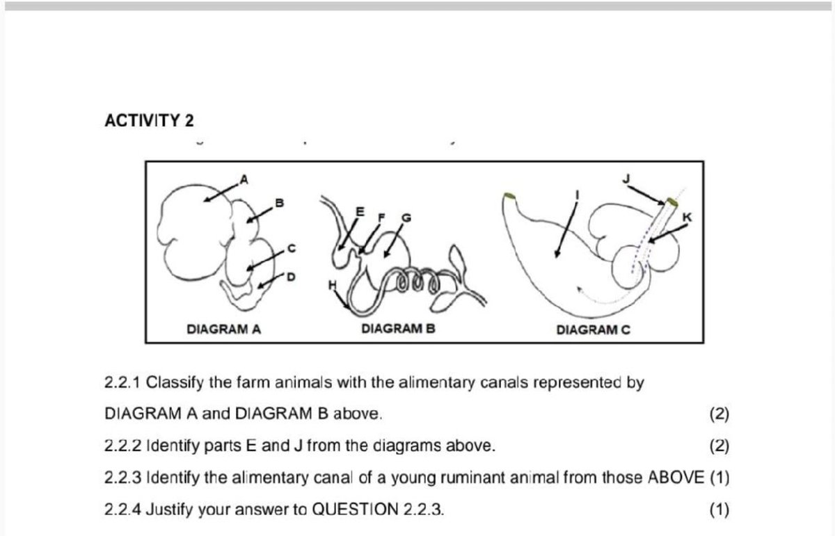 ACTIVITY 2 DIAGRAM A, DIAGRAM B, DIAGRAM C 2.2.1 Classify the farm anim..