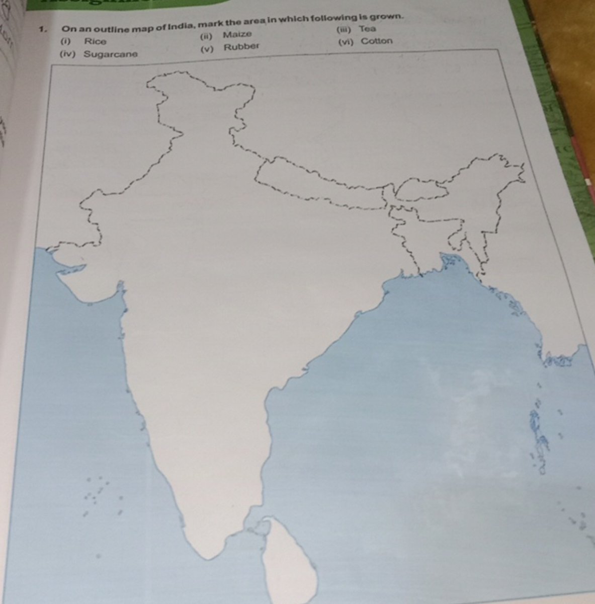 On an outline map of India, mark the area in which the following are grow..