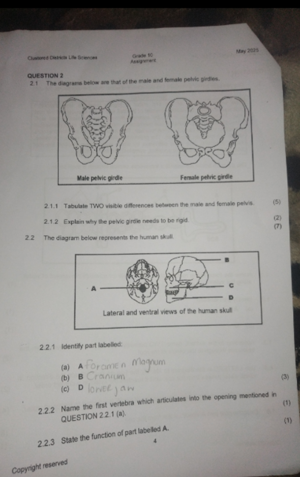 QUESTION 2 2.1 The diagrams below are that of the male and female pelvic..