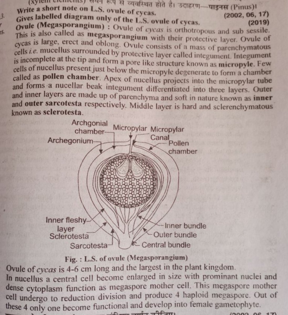 Write a short note on L.S. ovule of Cycas. Give a labelled diagram only o..