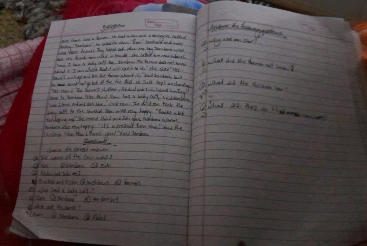 Here is a passage followed by some questions. Read the passage carefully