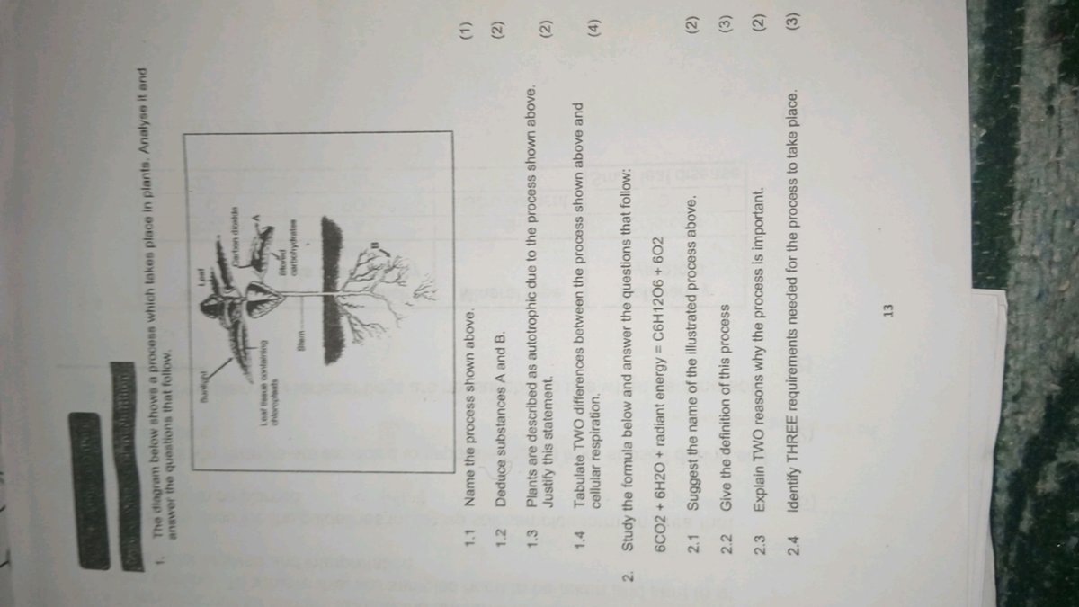 Question 1 The diagram below shows a process which takes place in plants...