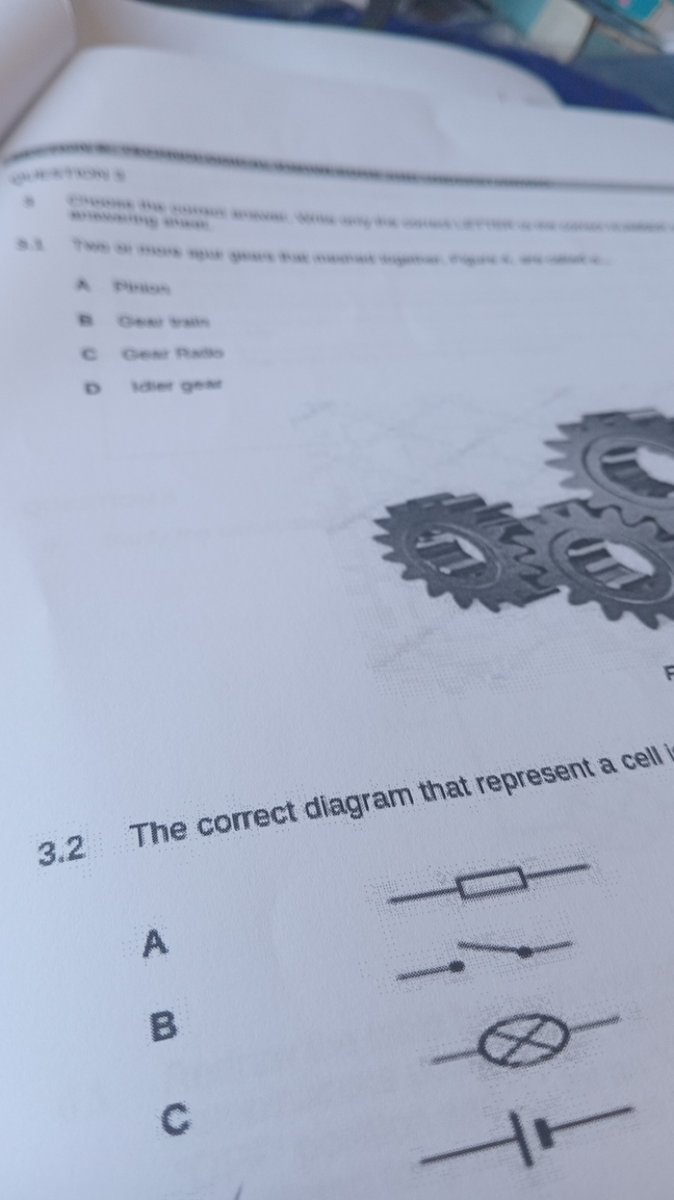 3.2 The correct diagram that represents a cell is: A B C | Filo