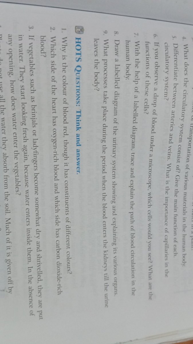 Here are some questions: What does the circulatory system consist of? Gi..