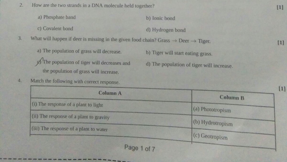 How are the two strands in a DNA molecule held together? a) Phosphate ban..