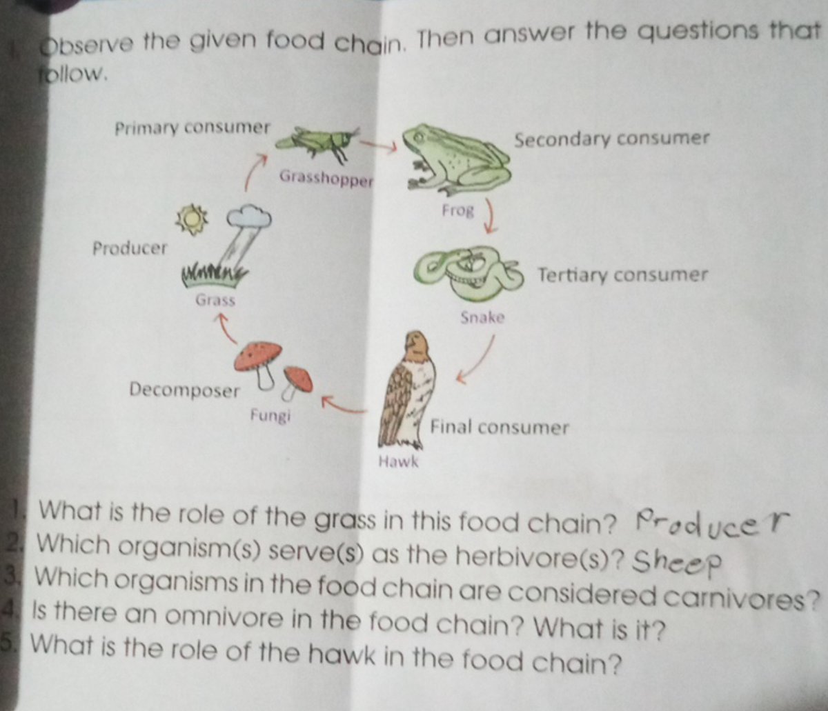 Observe the given food chain. Then answer the questions that follow. Ima..