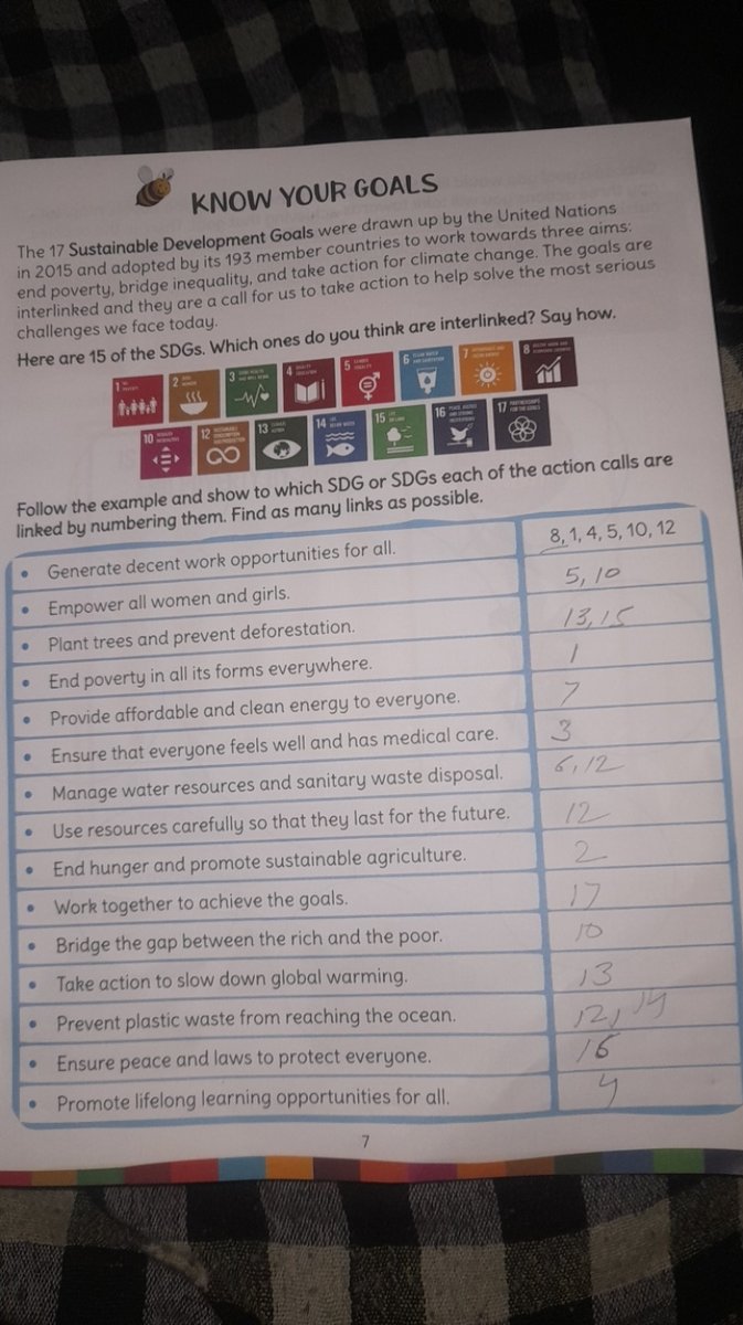 The 17 Sustainable Development Goals were drawn up by the United Nations