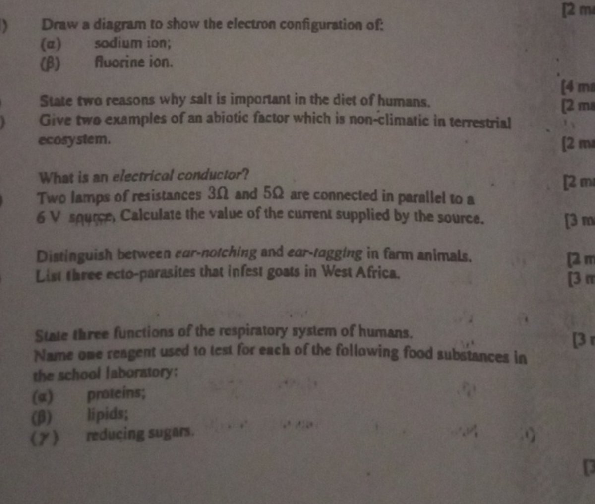 Draw a diagram to show the electron configuration of: (α) sodium ion; (β)..
