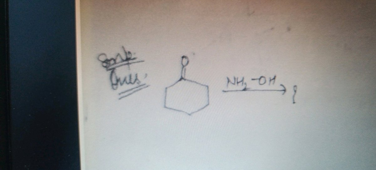 What is the product of the reaction between cyclohexanone and hydroxylami..