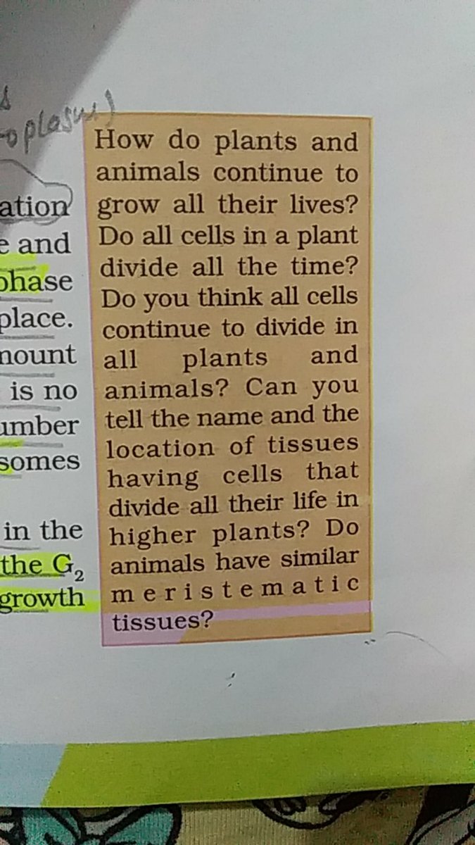 How do plants and animals continue to grow all their lives? Do all cells