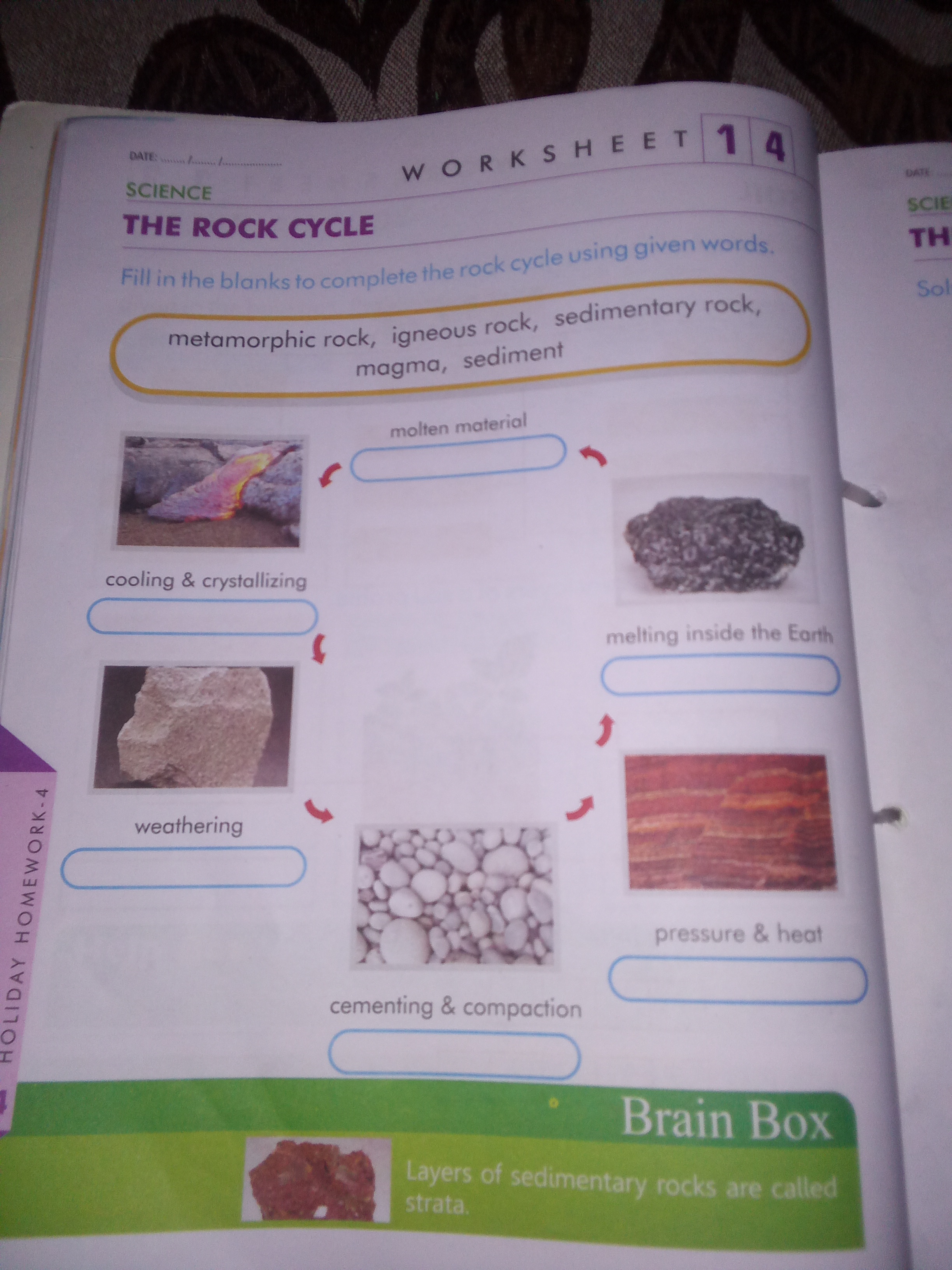 The Rock Cycle Fill in the blanks to complete the rock cycle using given