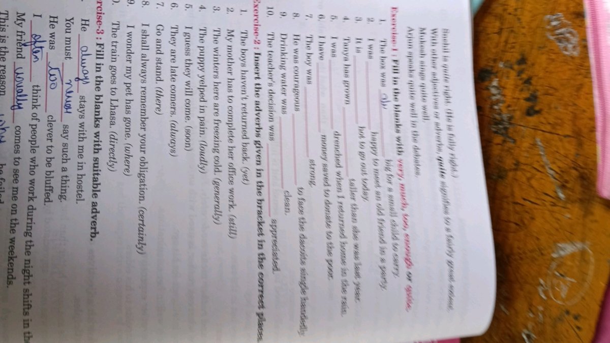 Exercise-1: Fill in the blanks with very, much, too, enough or quite. Th..
