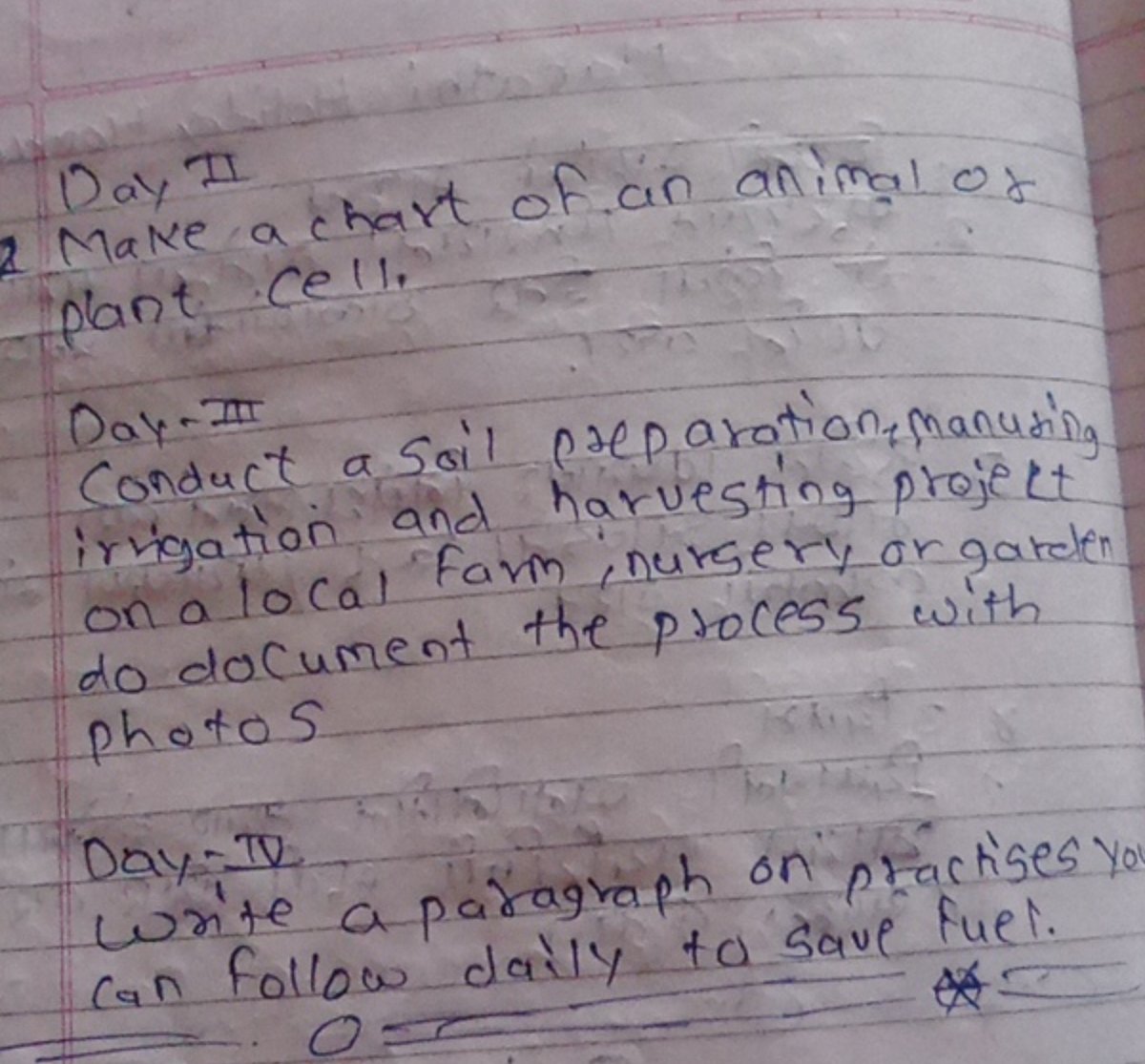 Day II Make a chart of an animal or plant cell. Day III Conduct a soil p..
