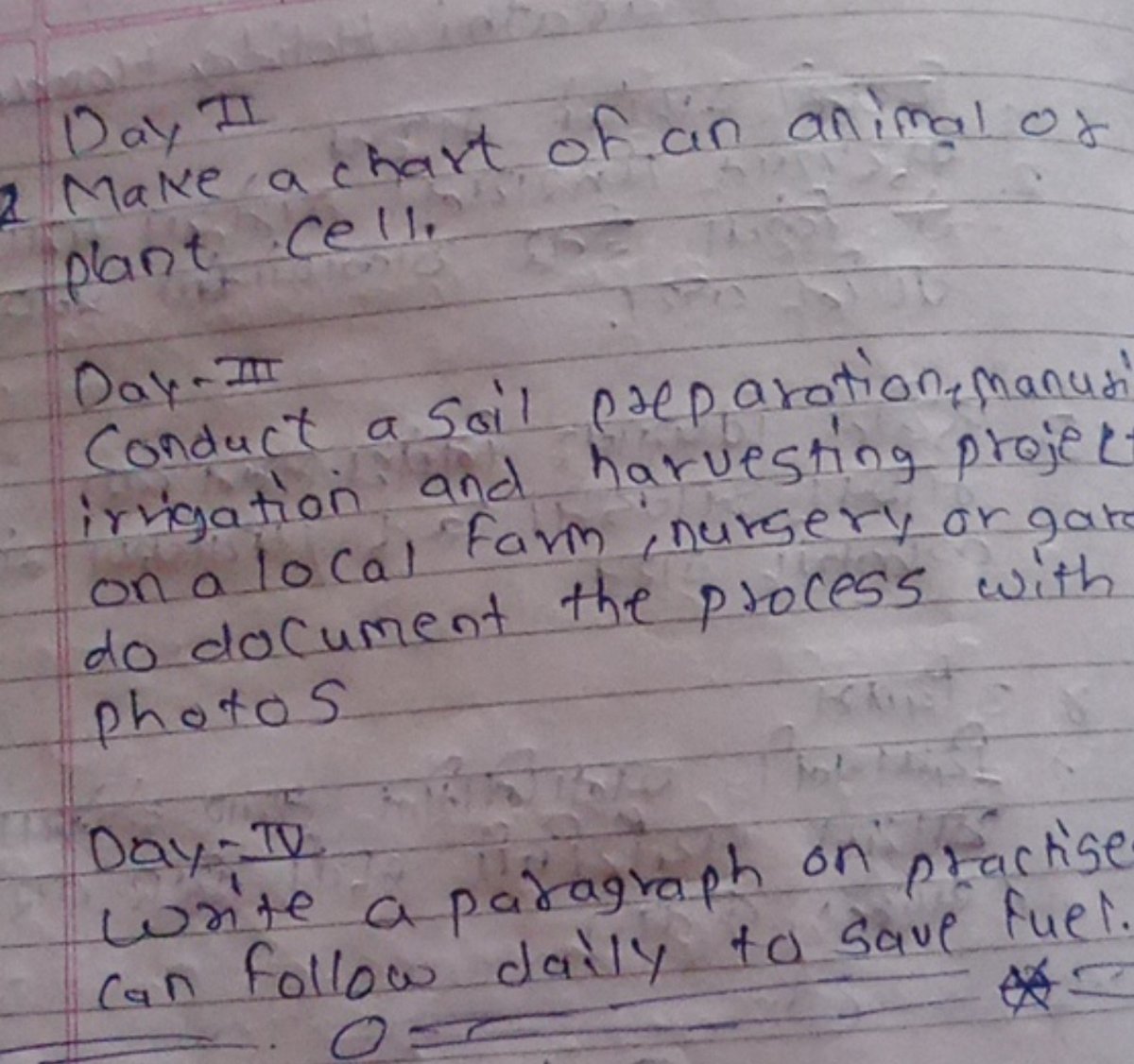 Make a chart of an animal or plant cell. | Filo