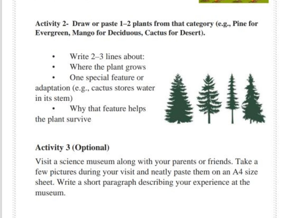 Activity 2: Draw or paste 1-2 plants from a category, for example: Pine f..