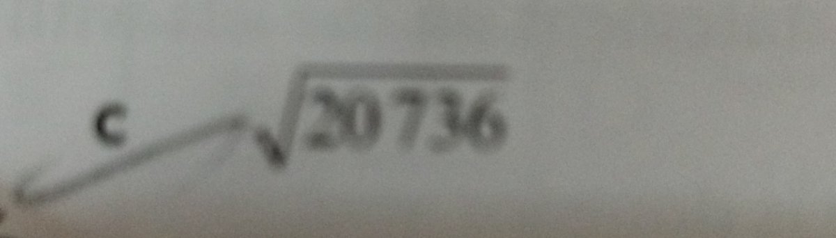 Find the square root of 20736. | Filo