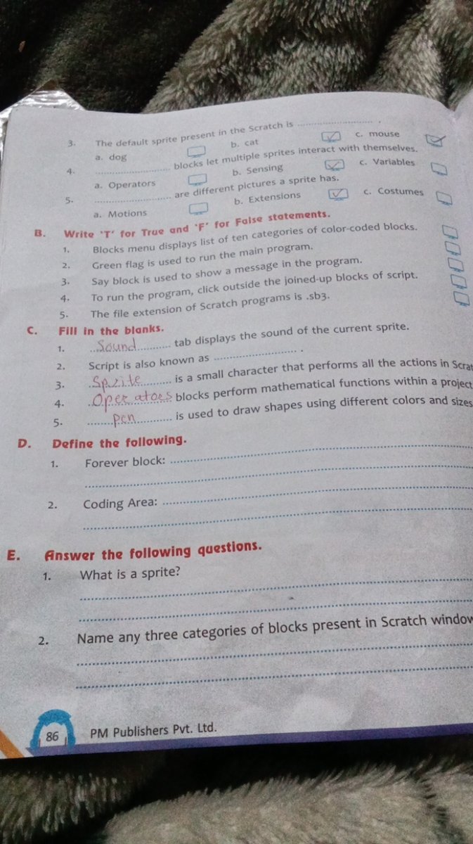 Here are some questions related to Scratch programming: B. Write 'T' for..