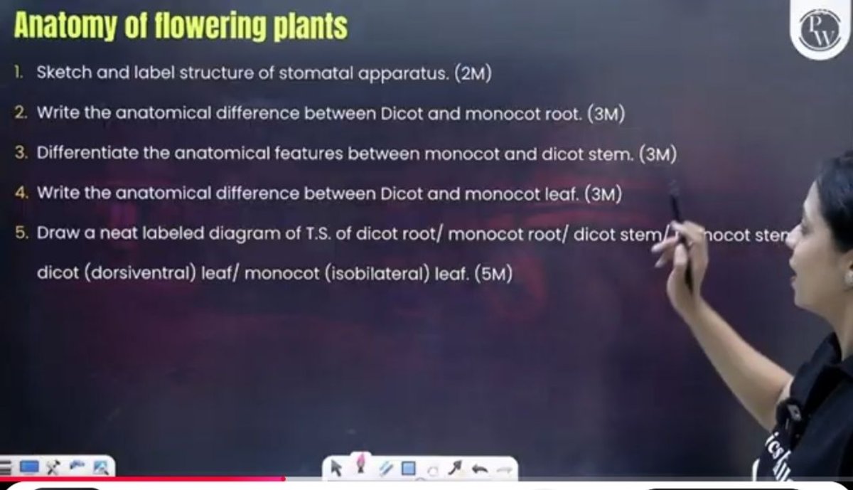Anatomy of flowering plants Sketch and label the structure of stomatal a..