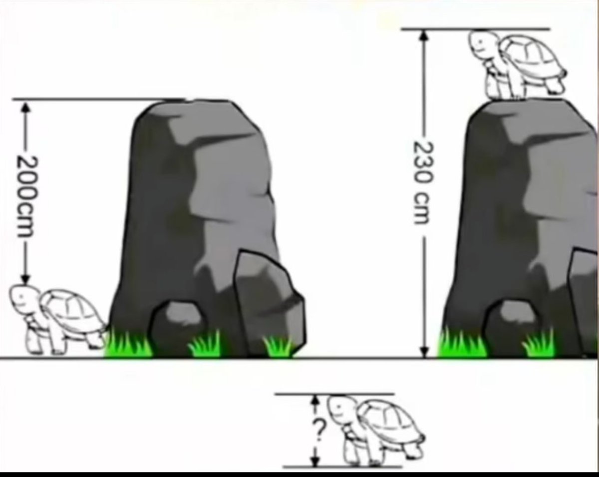 The image shows two scenarios with turtles and rocks. In the first scenar..