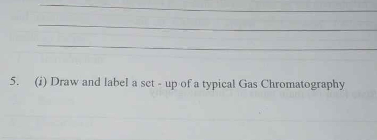 Draw and label a set-up of a typical Gas Chromatography. | Filo