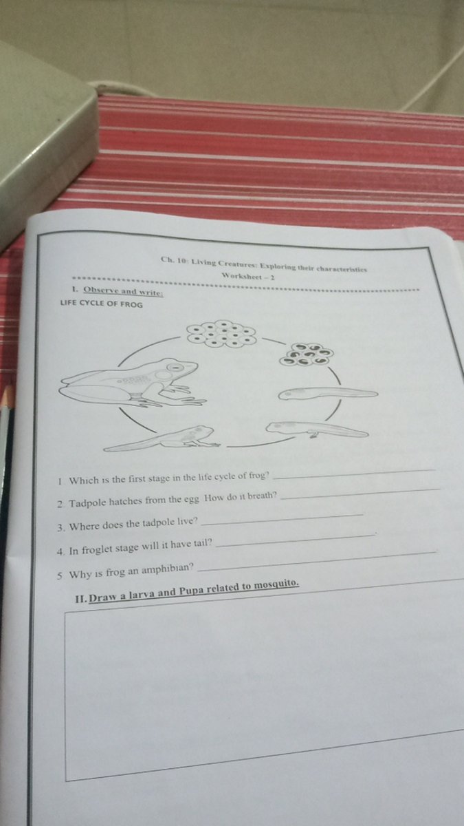 Ch. 10: Living Creatures: Exploring their characteristics Worksheet-2 I...